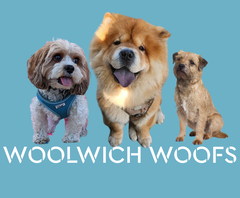 Woolwich Works | London's 'Best New Culture Spot' | Woolwich Works